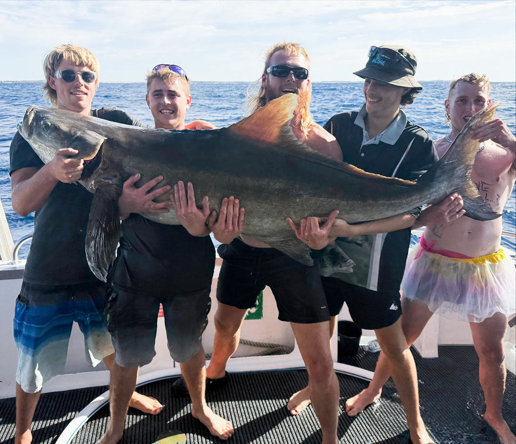 Z-Man Lure Crushes World Record Cobia by 40 Pounds