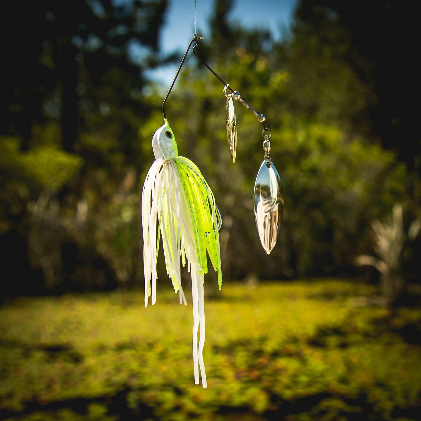 Commitment to Conservation