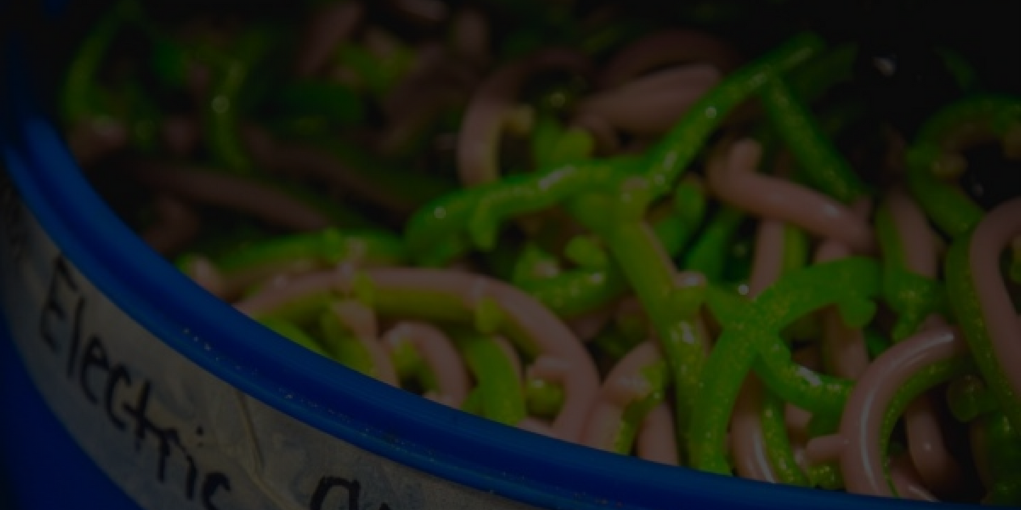 Commitment to Conservation