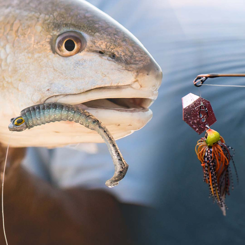 Z-Man Fishing Products - The Science and Art of Fishing