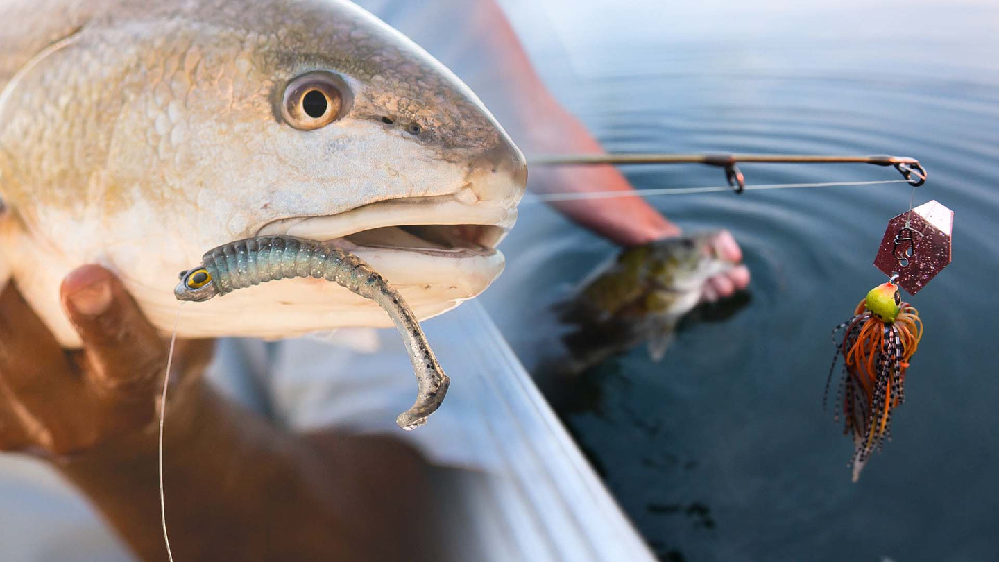 Z-Man Fishing Products - The Science and Art of Fishing