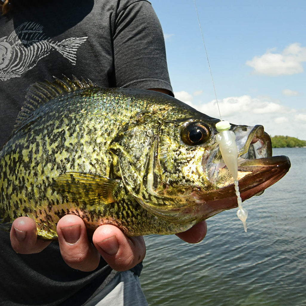 Z-Man Fishing Products - The Science and Art of Fishing